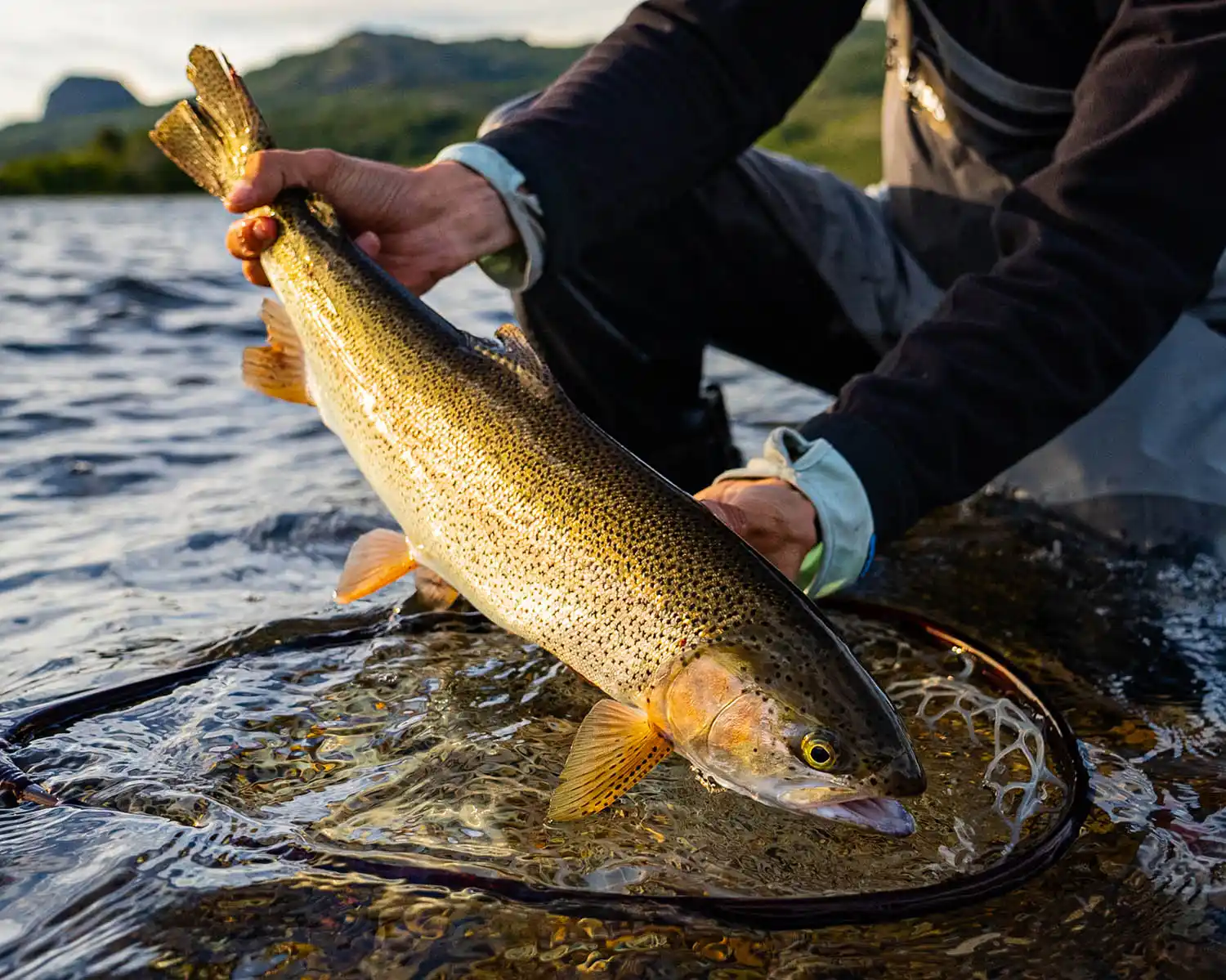 Premium Fly Fishing Courses | The Catch and The Hatch